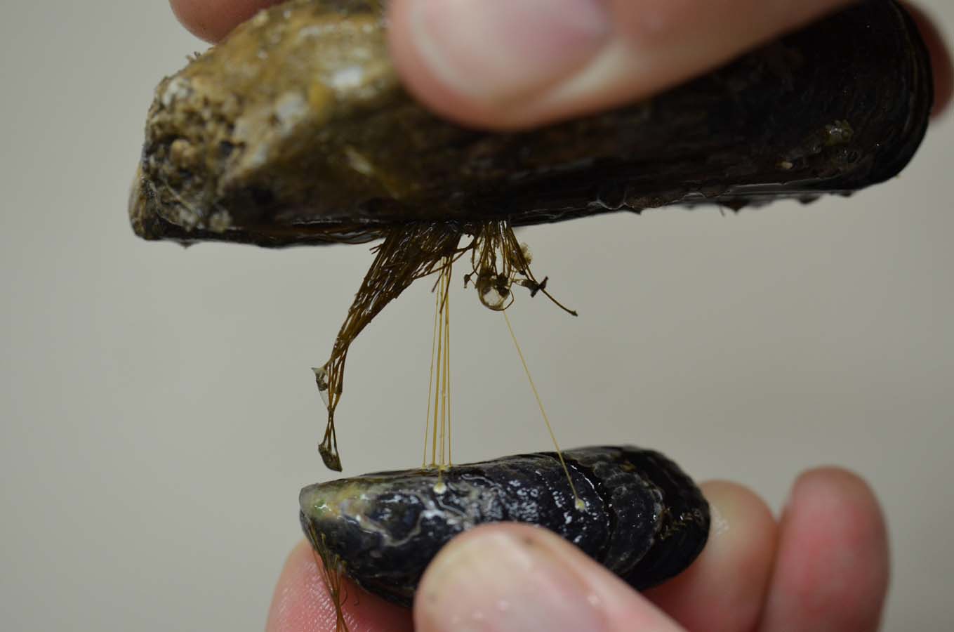 Biodiversity! - Florida Tech News