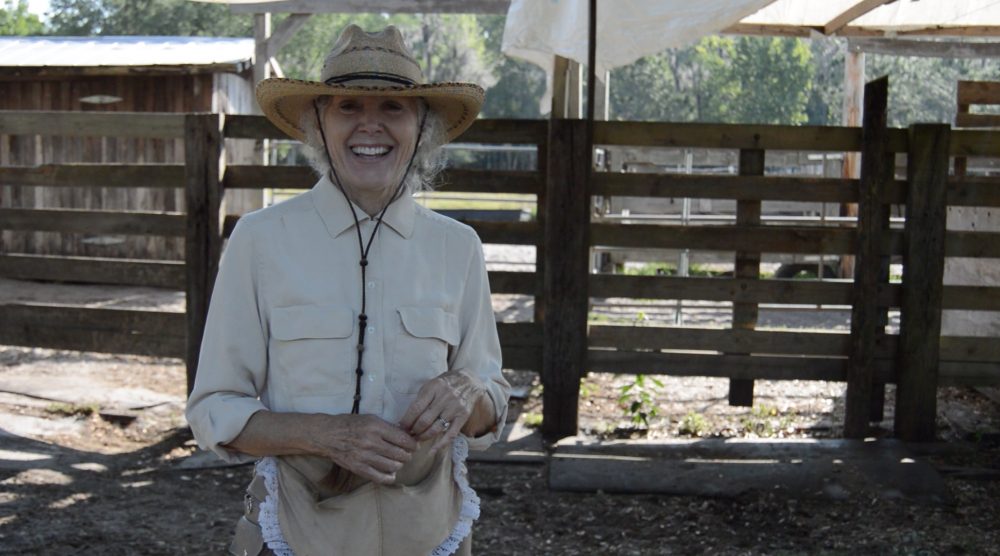 Using Experiential Therapy With Horses | Florida Tech Ad Astra