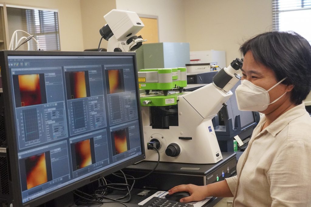6 Uses for the University’s New Atomic Force Microscope - Florida Tech News