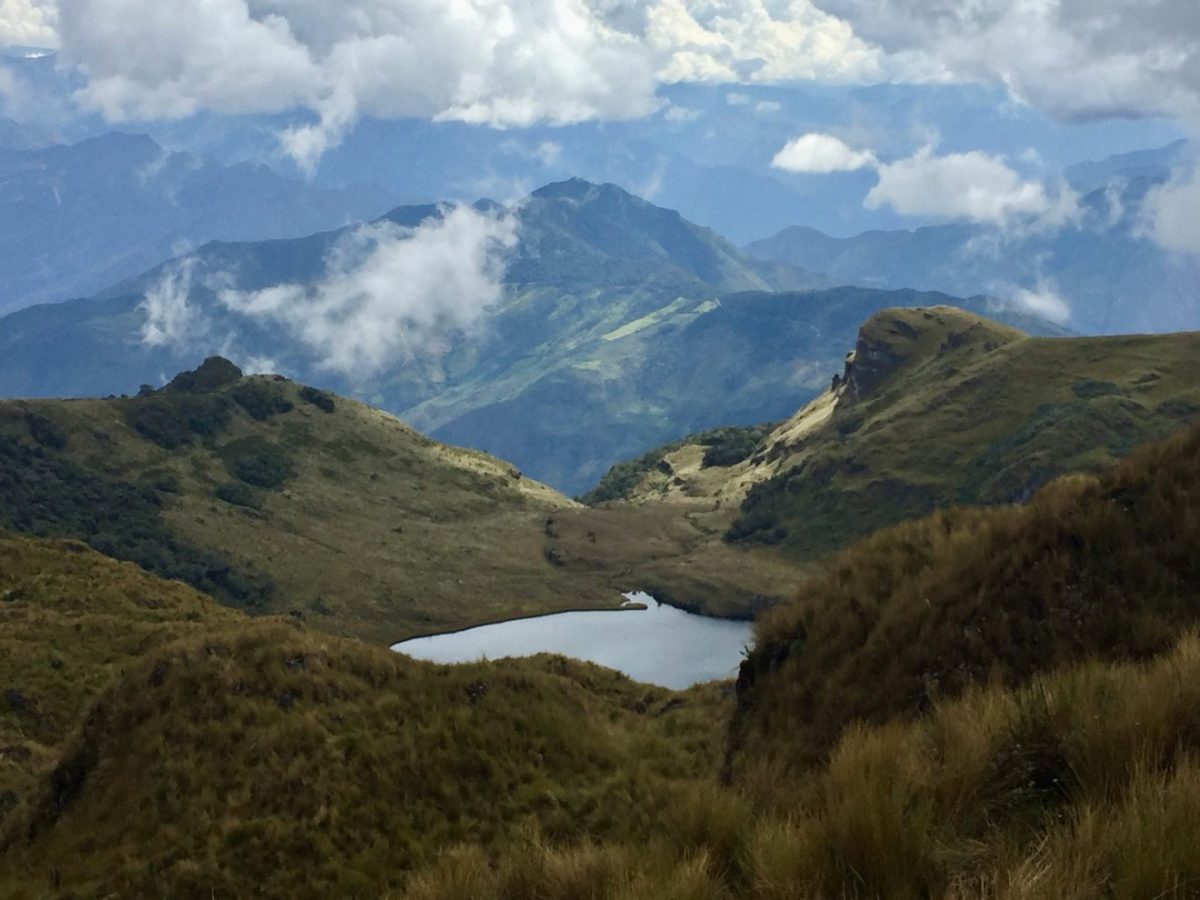 New Study: Warming, Burning by Humans Altered Andean Ecosystems ...